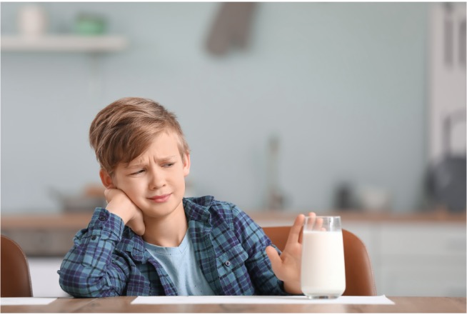Les bifidobactéries moduleraient la tolérance aux protéines de lait de ...