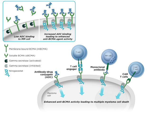 Tumeur desmoïde : amélioration de la survie sans progression inhibiteur ...