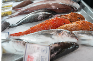 MediQuality - MediQuality