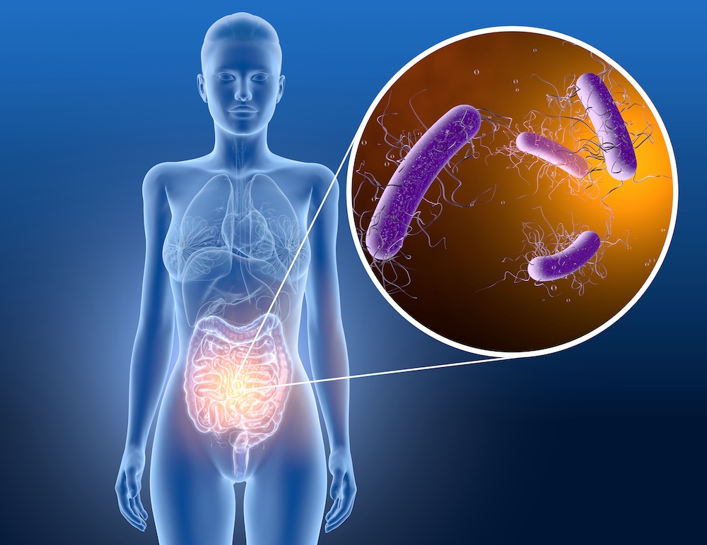 « Recherchez le Clostridioides difficile chez les patients MICI ...