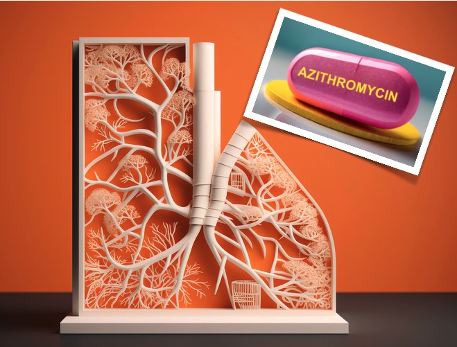 Behandeling van exacerbaties van COPD: Azitromycine: op het menu of à ...