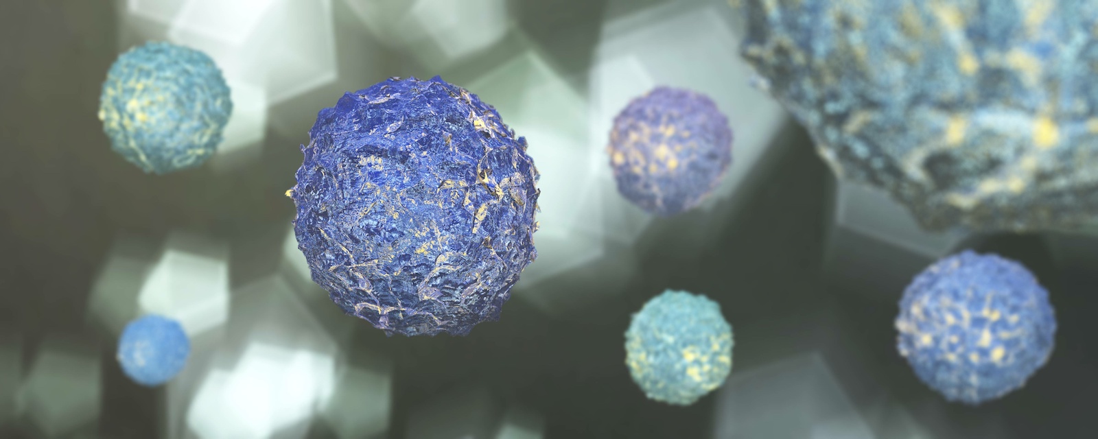 Hémopathies malignes traitées par cellules souches hématopoïétiques ...