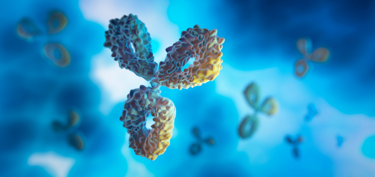 Présence d'anticorps anti-biomédicaments : une réponse diminuée dans la ... Présence d'anticorps anti-biomédicaments : une réponse diminuée dans la ...