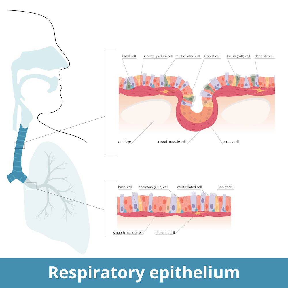 MediQuality - MediQuality