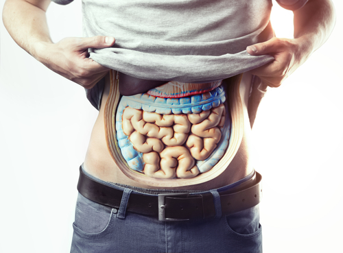 Emplacement De L'appendice Appendicite : Reconnaître Les Symptômes